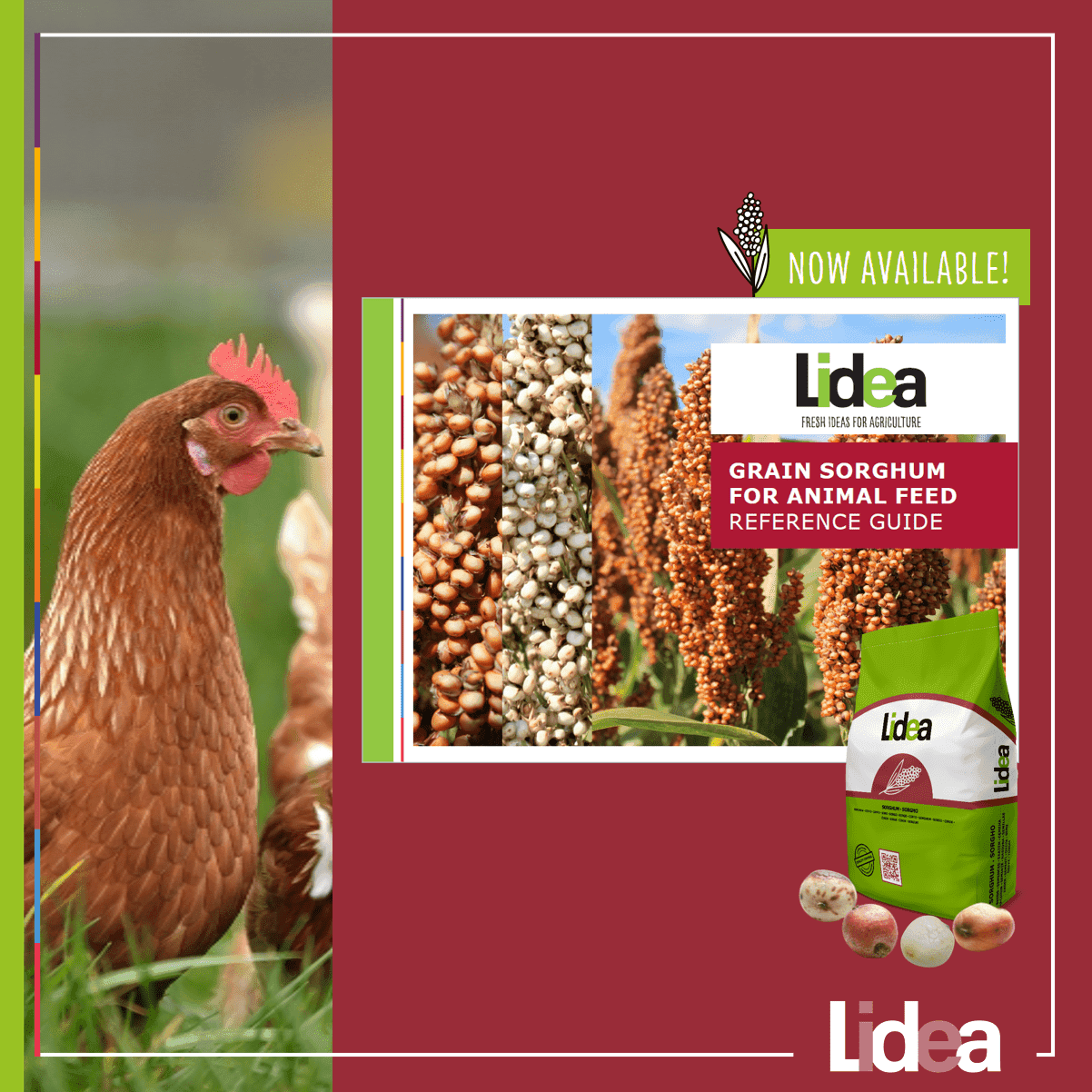 Lidea Lidea Sorghum For Animal Feed Reference Guide To Download Lidea Lidea Sorghum For Animal Feed Reference Guide To Download